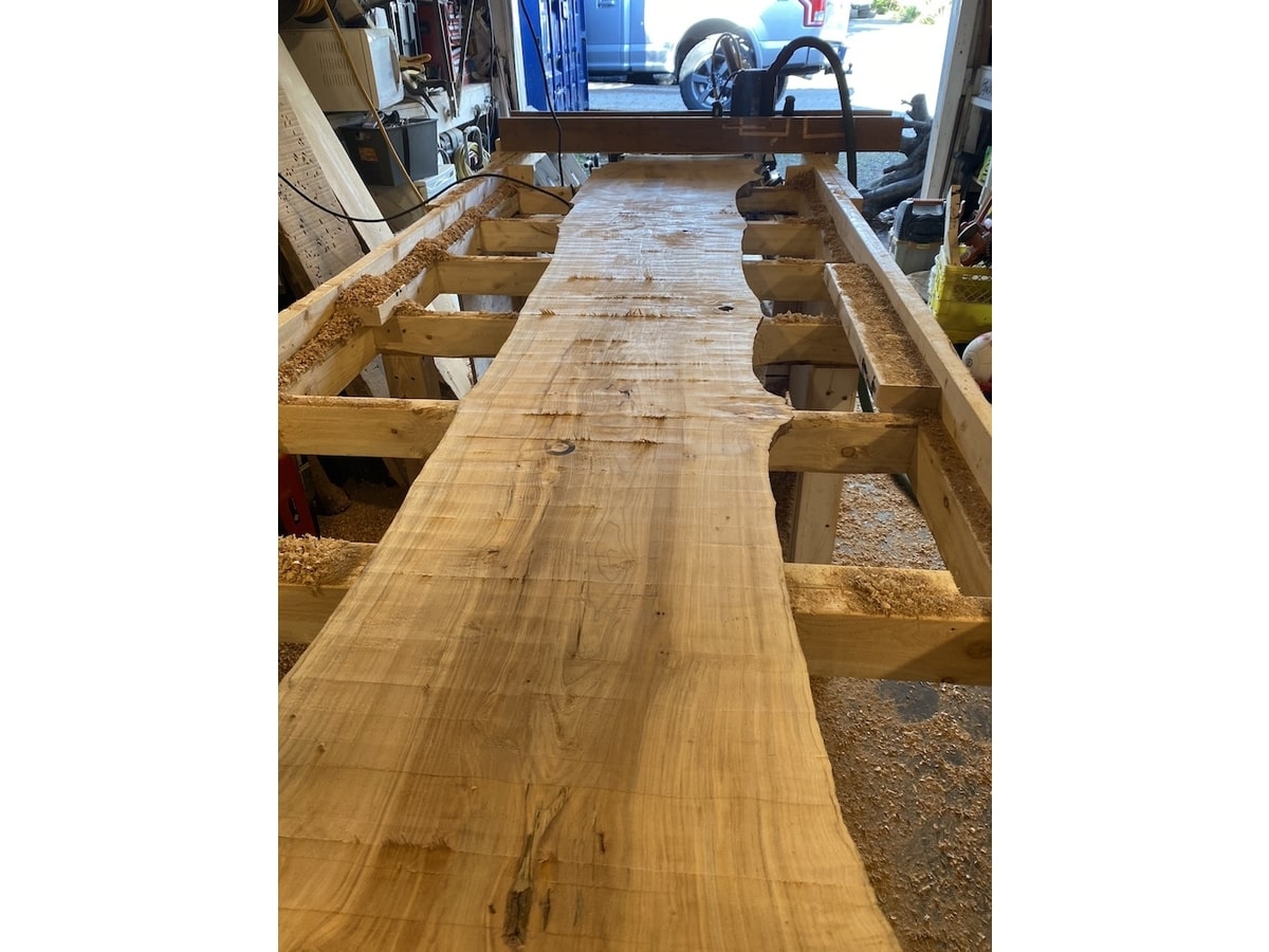 Maple Mantle - Nature Reconstructed