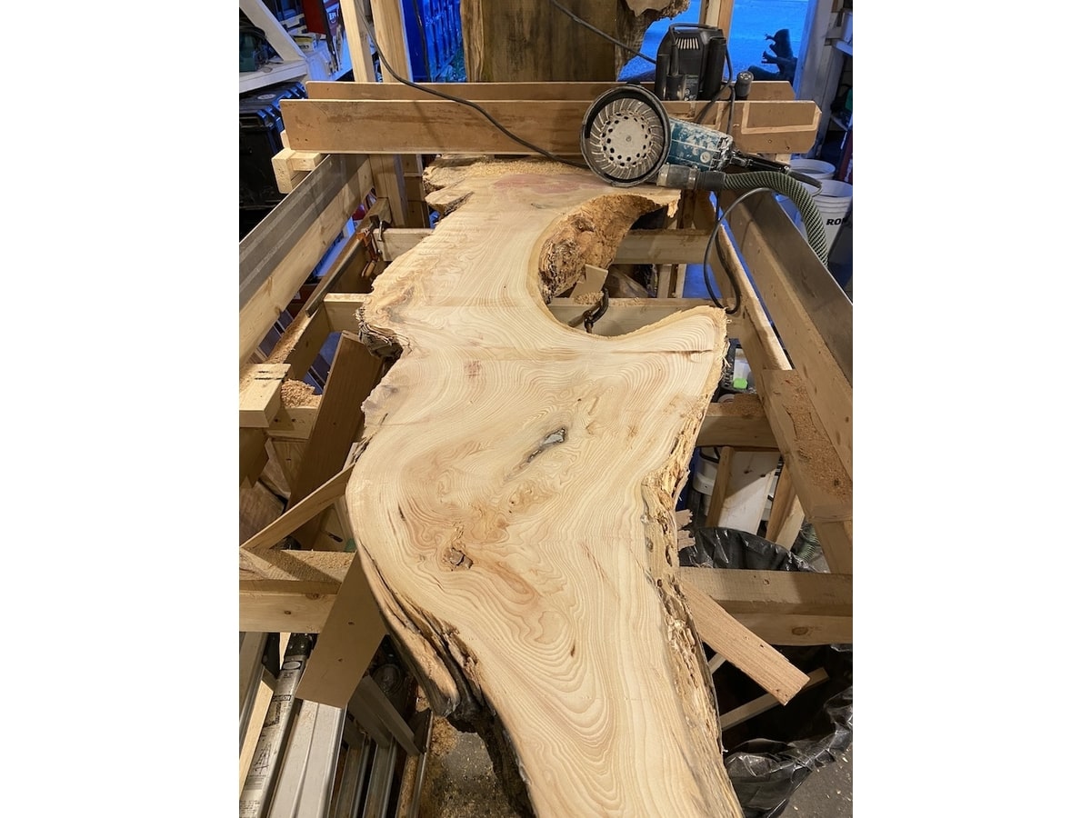 Salvaged Root Project (Under-Reconstruction) - Nature Reconstructed