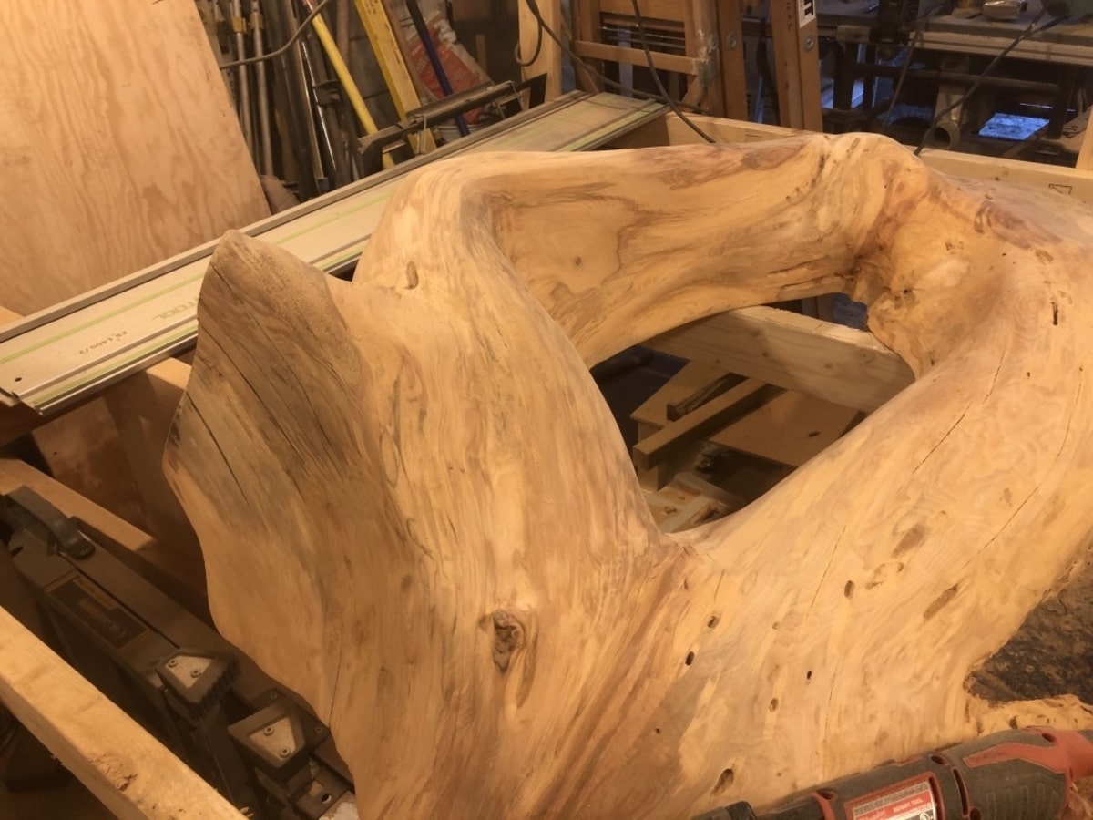 Salvaged Root Project (Under-Reconstruction) - Nature Reconstructed