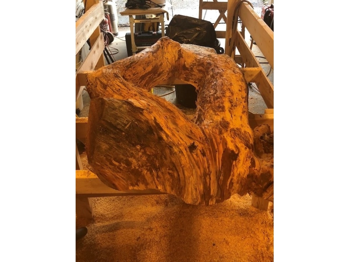 Salvaged Root Project (Under-Reconstruction) - Nature Reconstructed