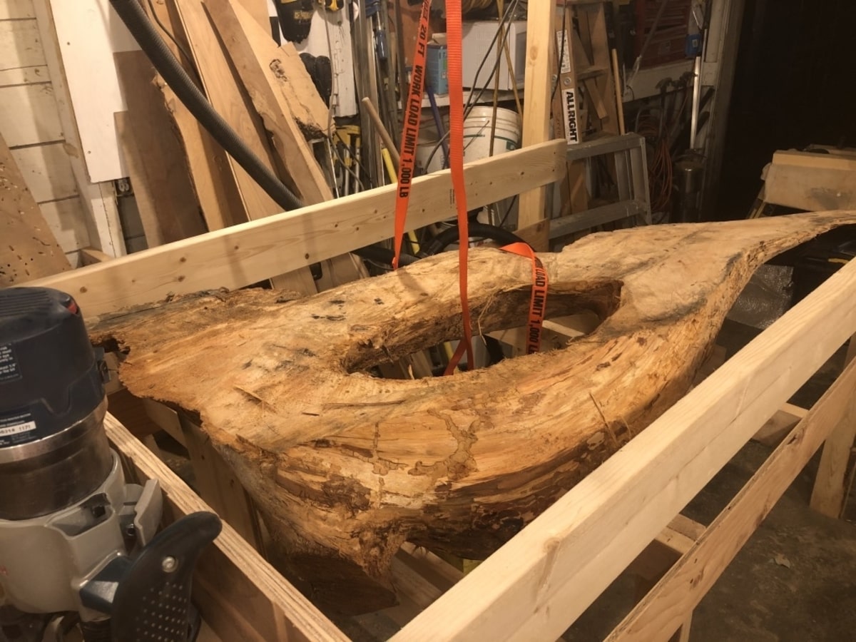 Salvaged Root Project (Under-Reconstruction) - Nature Reconstructed