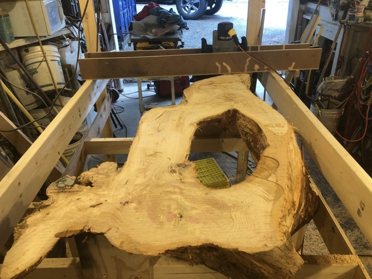 Salvaged Root Project (Under-Reconstruction) - Nature Reconstructed